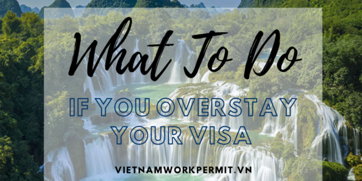 What to do if you overstay your visa - EN